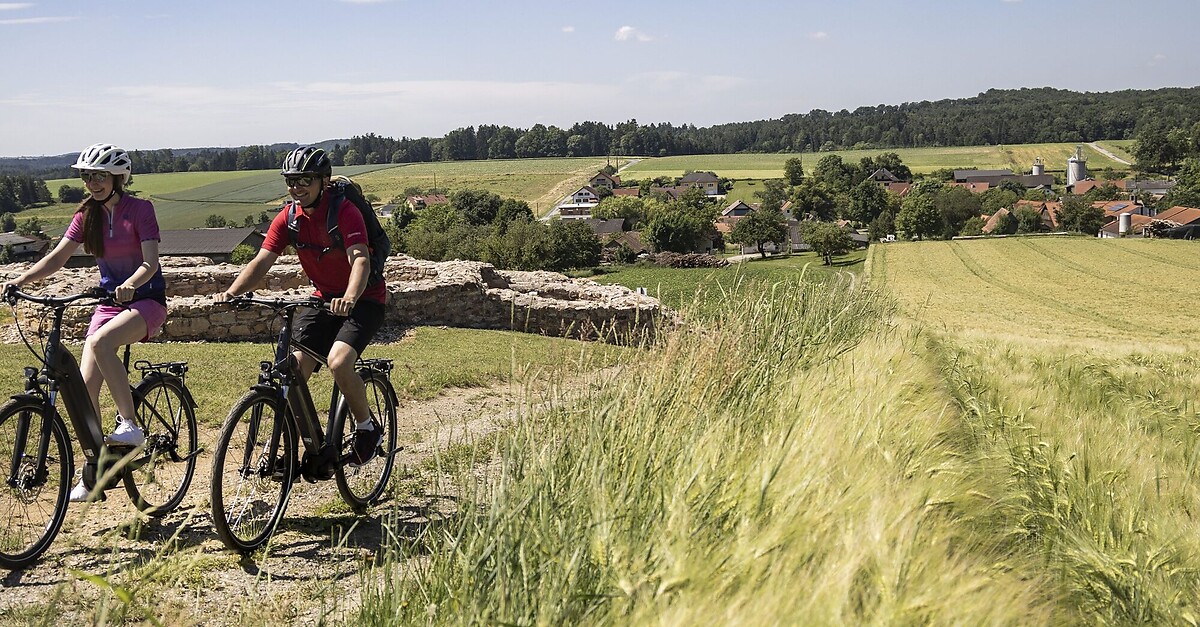Ökotour über Schildbach, Kaindorf - BERGFEX - Radfahren - Tour Steiermark