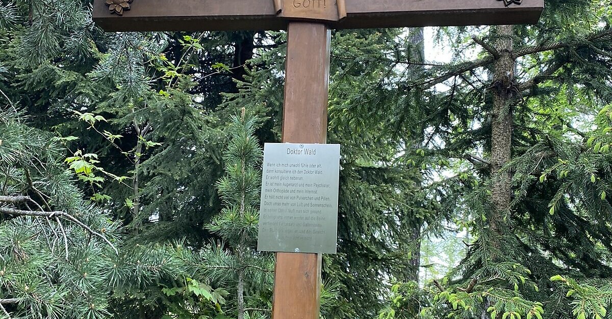 Tannhausen - BERGFEX - Bergwandern - Tour Steiermark