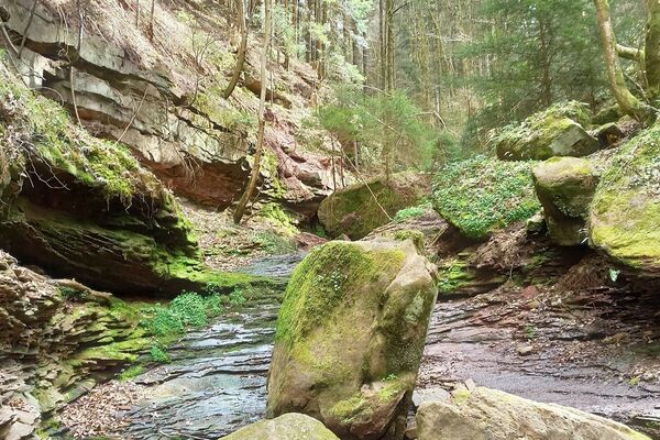 Wasser-Wald und Wiesenpfad Calw - Premiumweg - BERGFEX - Wanderung ...