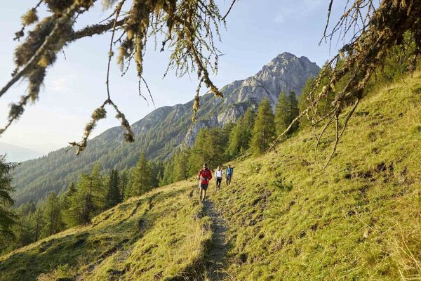 Panoramarestaurant Elfer - Elferhütte - Elferspitze - Neustift im ...