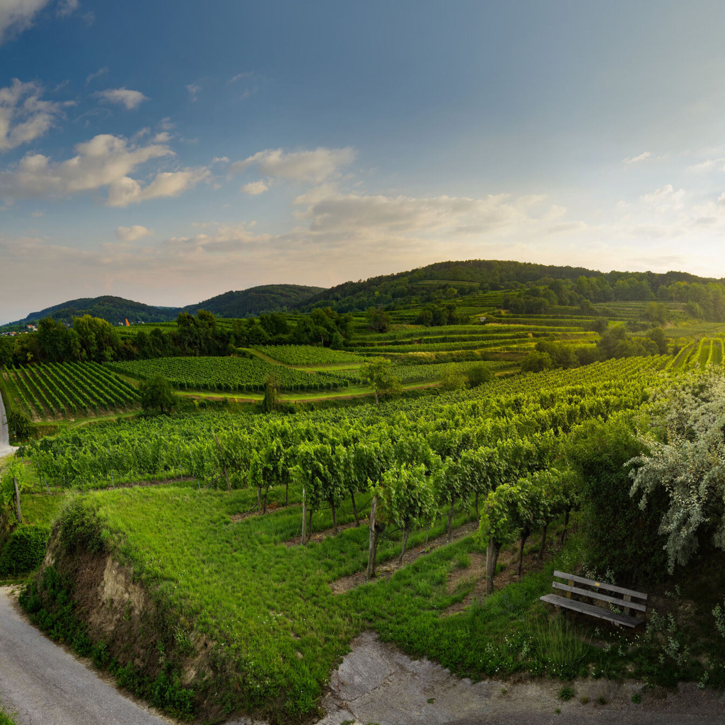 bergfex: Weather, webcams and ski resorts in Austria and Europe