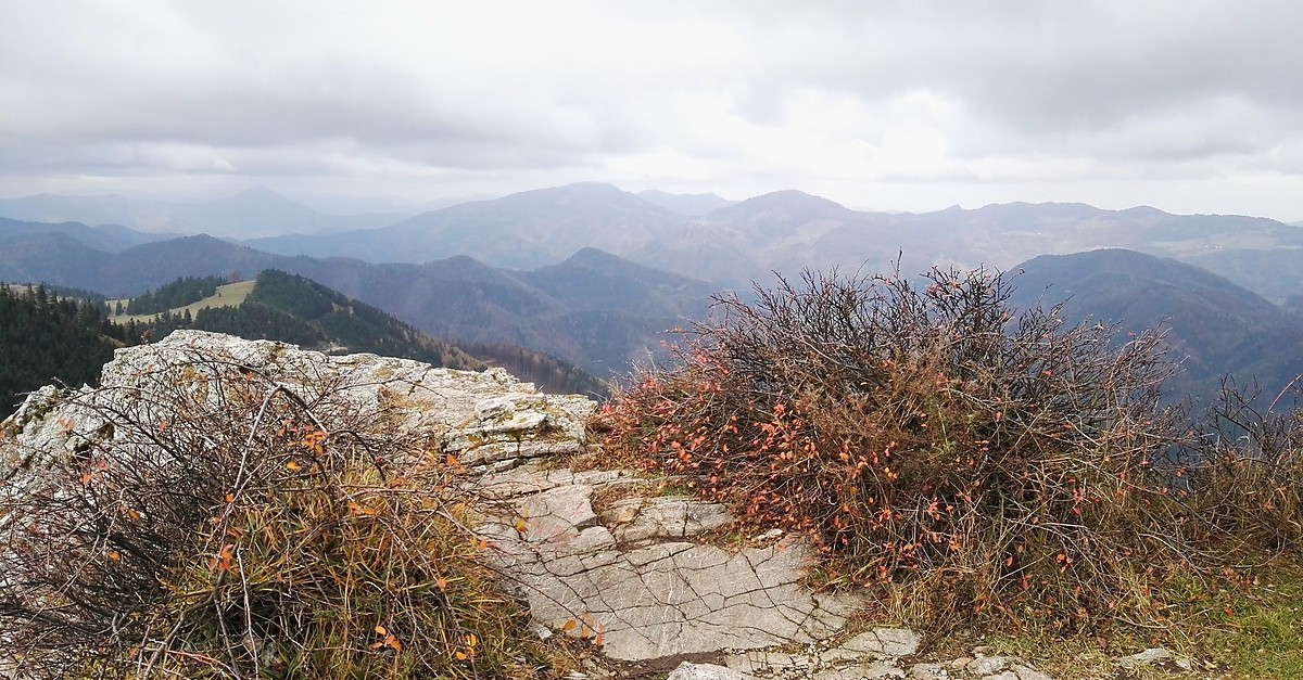 Unterberg Überschreitung - BERGFEX - Randonnée - Parcours Basse-Autriche