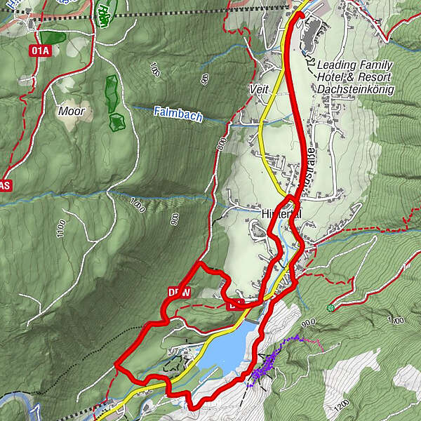 Geoweg vom Dachsteinkönig - BERGFEX - Wanderung - Tour Oberösterreich