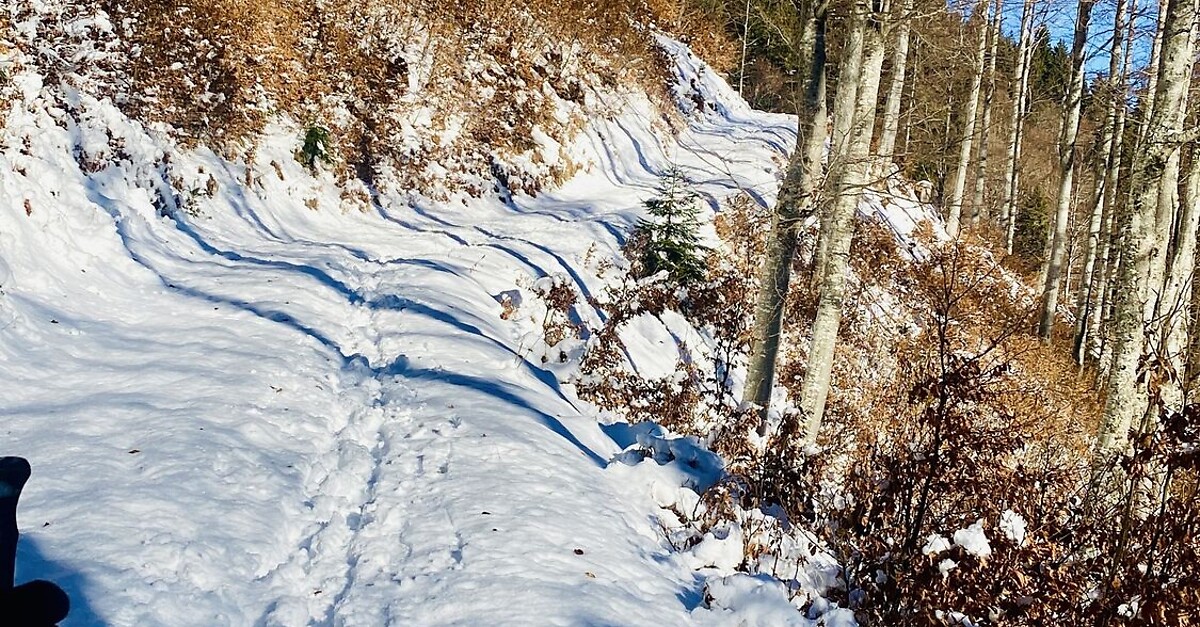 ValBruna-Malga Rauna-Cappella Zita - BERGFEX - Wanderung - Tour Friaul ...
