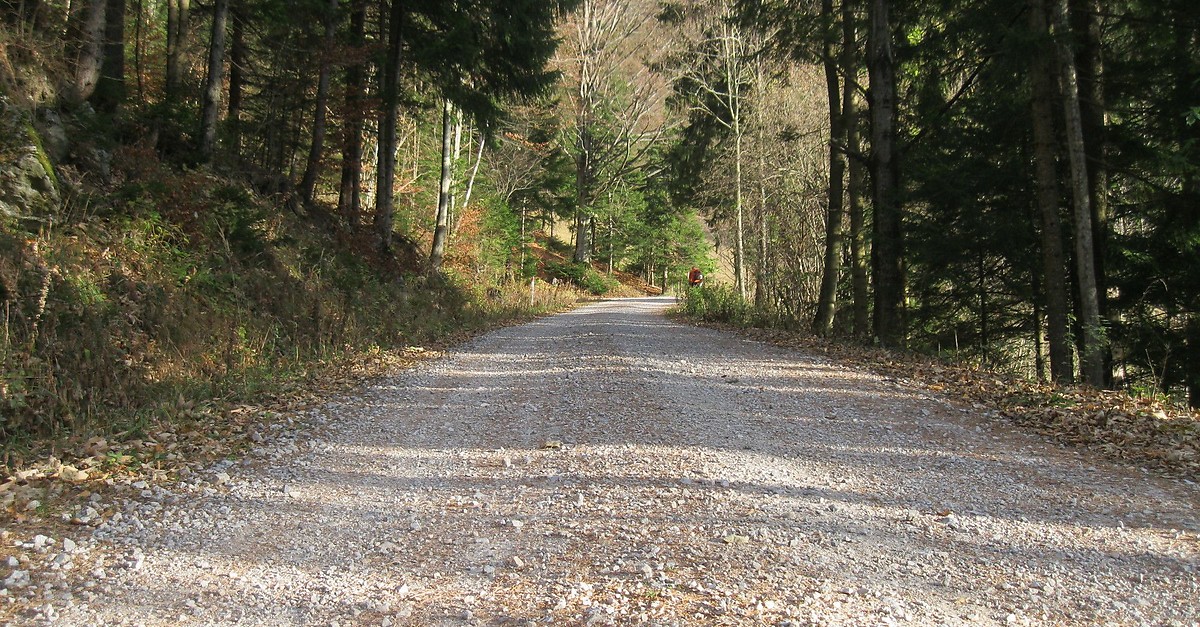 Raxgebiet: Über den Haidsteig zur Preinerwand (D) - BERGFEX ...