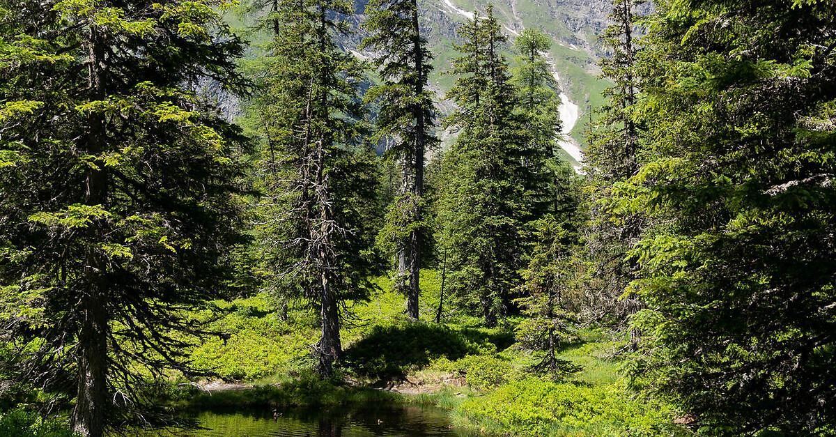 BERGFEX-Sehenswürdigkeiten - Mautstraße Kolm Saigurn - Rauris ...