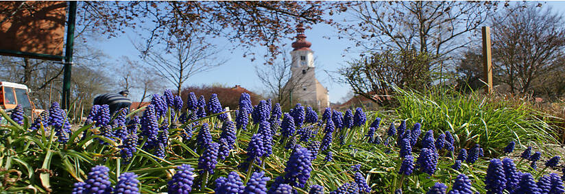 BERGFEX: Panoramakarte Fernitz-Mellach: Mapa Fernitz-Mellach - Alm ...