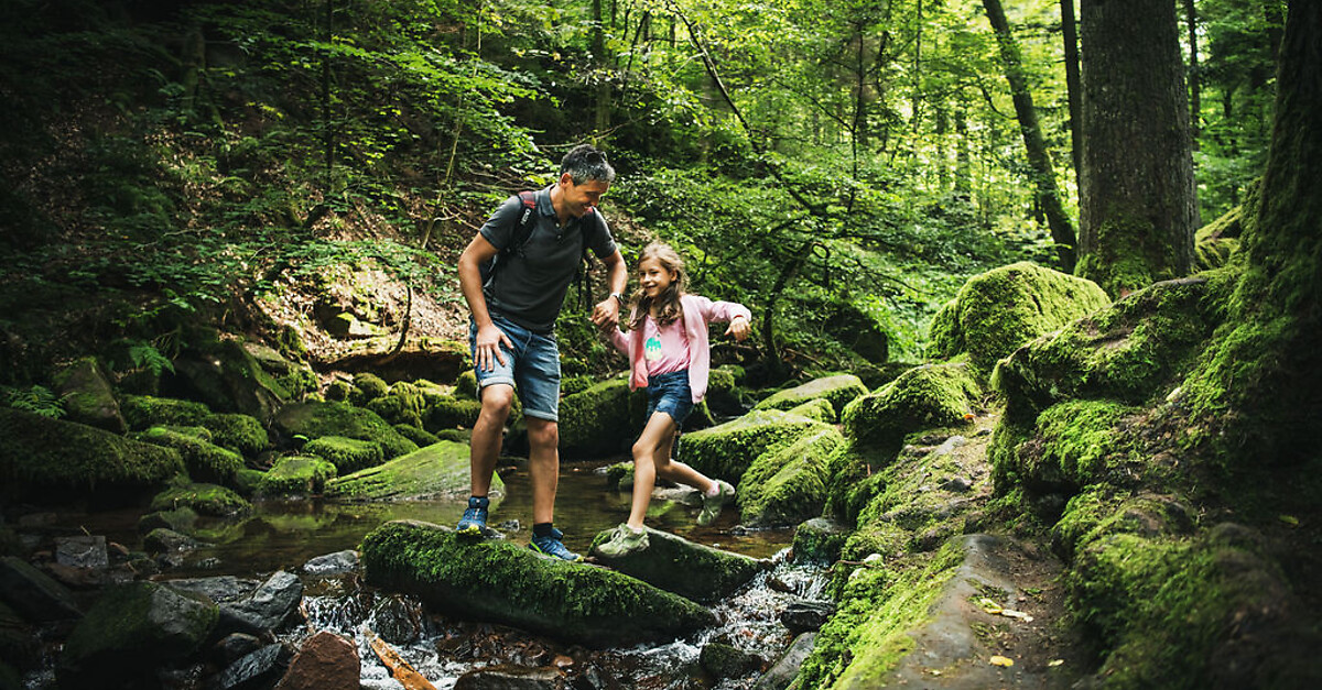 Wildromantisches Monbachtal - BERGFEX - Wanderung - Tour Baden-Württemberg