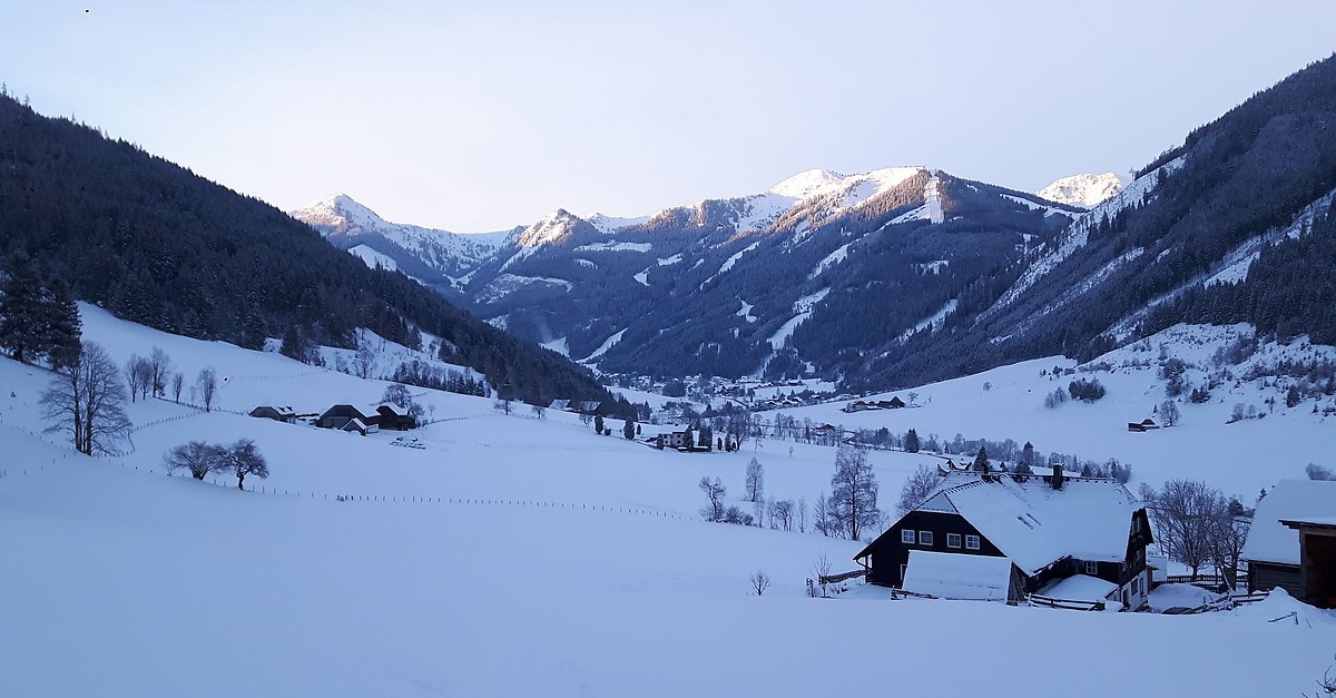 Der Perweinhof: Farm / Apartment Donnersbachwald, Riesneralm / Schneebären