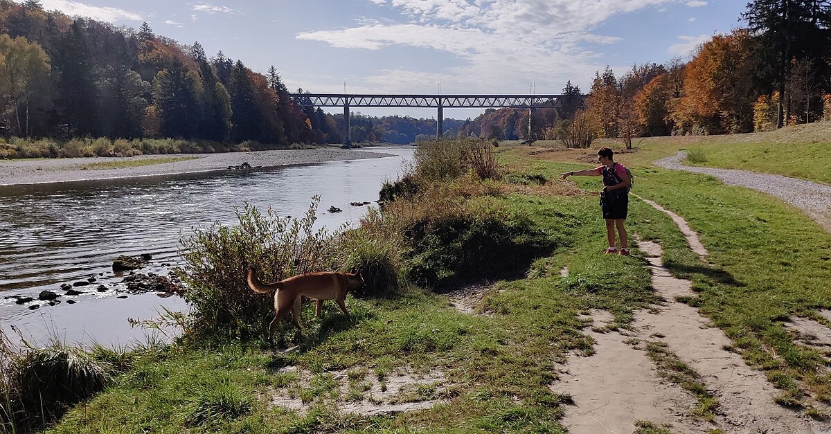 Die Isar entlang - BERGFEX - Wanderung - Tour Bayern