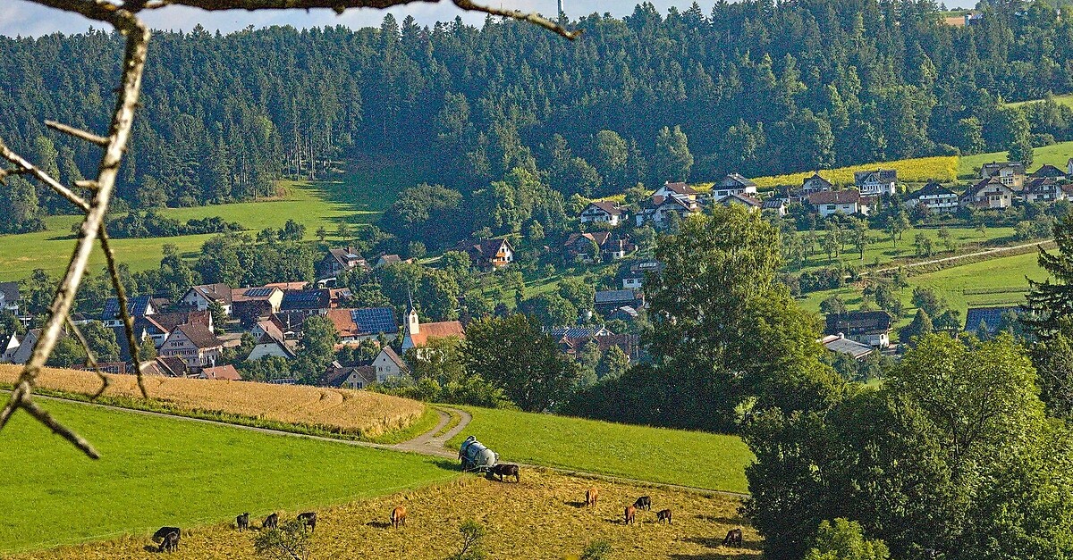 AugenBlick-Runde Glatten Palmberg - BERGFEX - Wanderung - Tour Baden ...