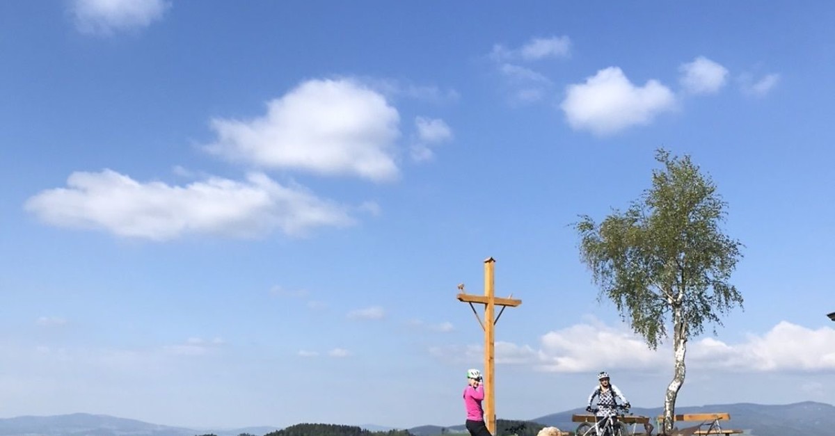 Kothmühle Tannwald - BERGFEX - Mountainbike - Tour Niederösterreich