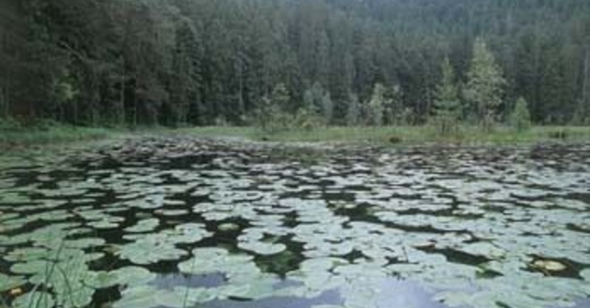 Eiszeit-Tour - BERGFEX - Wanderung - Tour Baden-Württemberg