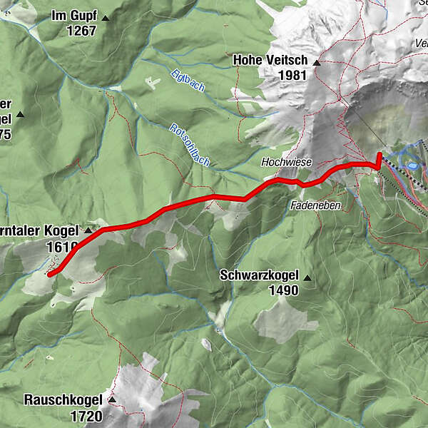 Turnaueralm Rückweg - BERGFEX - Wanderung - Tour Steiermark