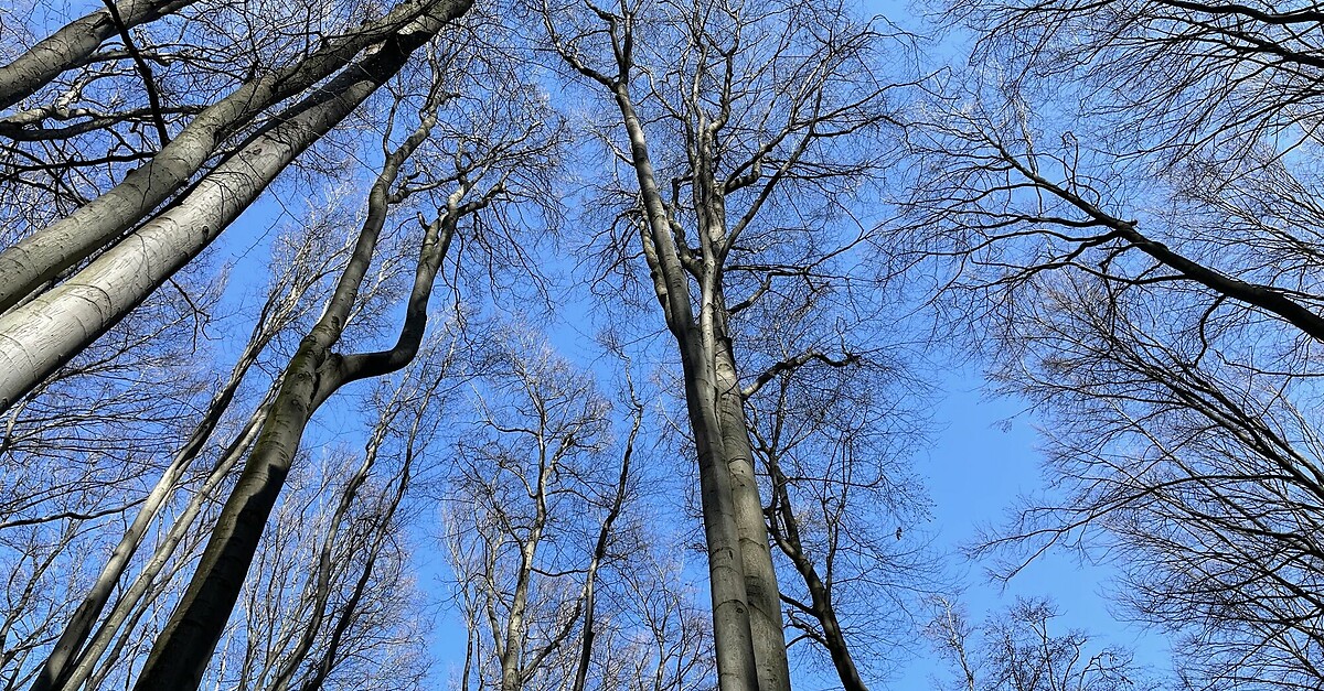 Gablitz, Austria - BERGFEX - Wanderung - Tour Niederösterreich