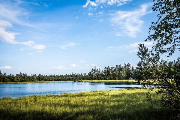 Wasser-Wald und Wiesenpfad Calw - Premiumweg - BERGFEX - Wanderung ...