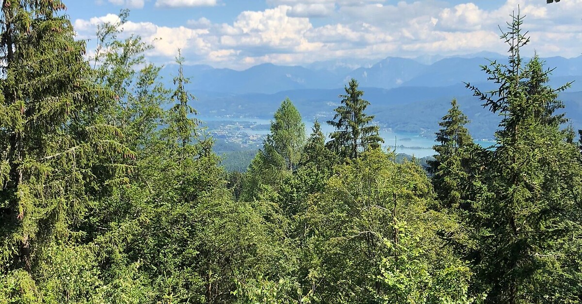 Hoher Gallin - BERGFEX - Wanderung - Tour Kärnten