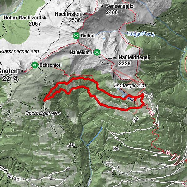 Emberger Alm (Berg im Drautal): Panoramawanderung - BERGFEX - Wanderung ...