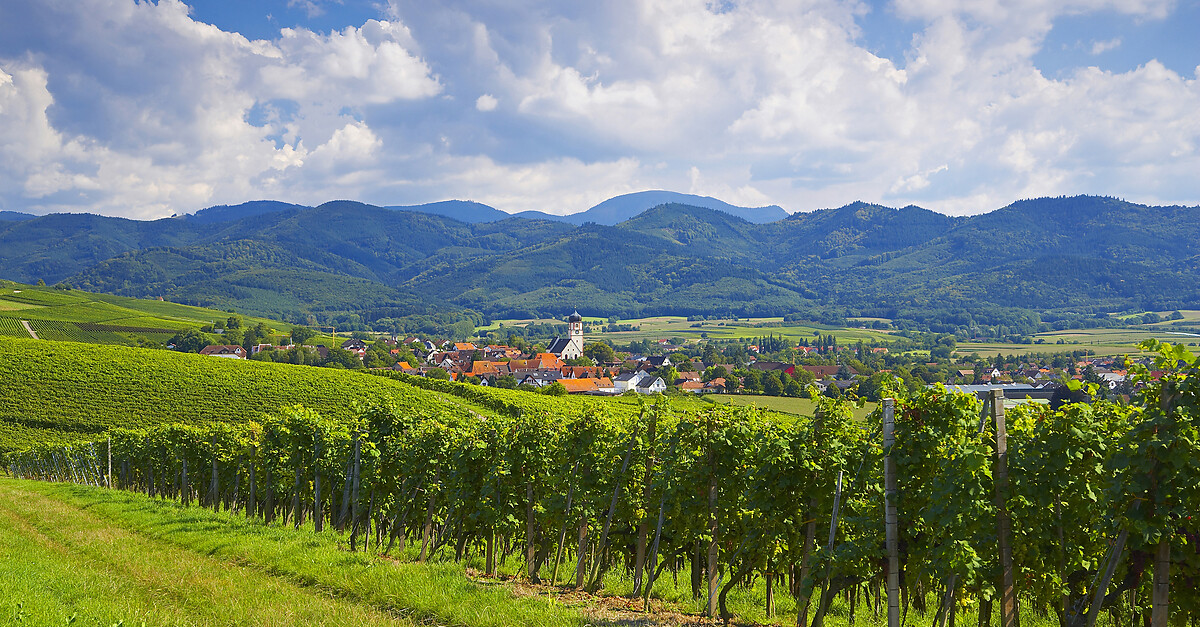 BERGFEX: Ehrenkirchen: Vacanza Ehrenkirchen - Viaggi Ehrenkirchen