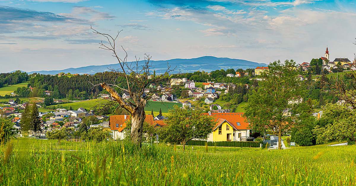 Tours - BERGFEX - Pinggau - Hiking Pinggau