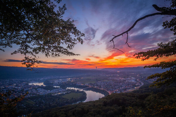 Augarten - Rheinfelden - Rheinfelden (Baden) - BERGFEX - Wanderung ...