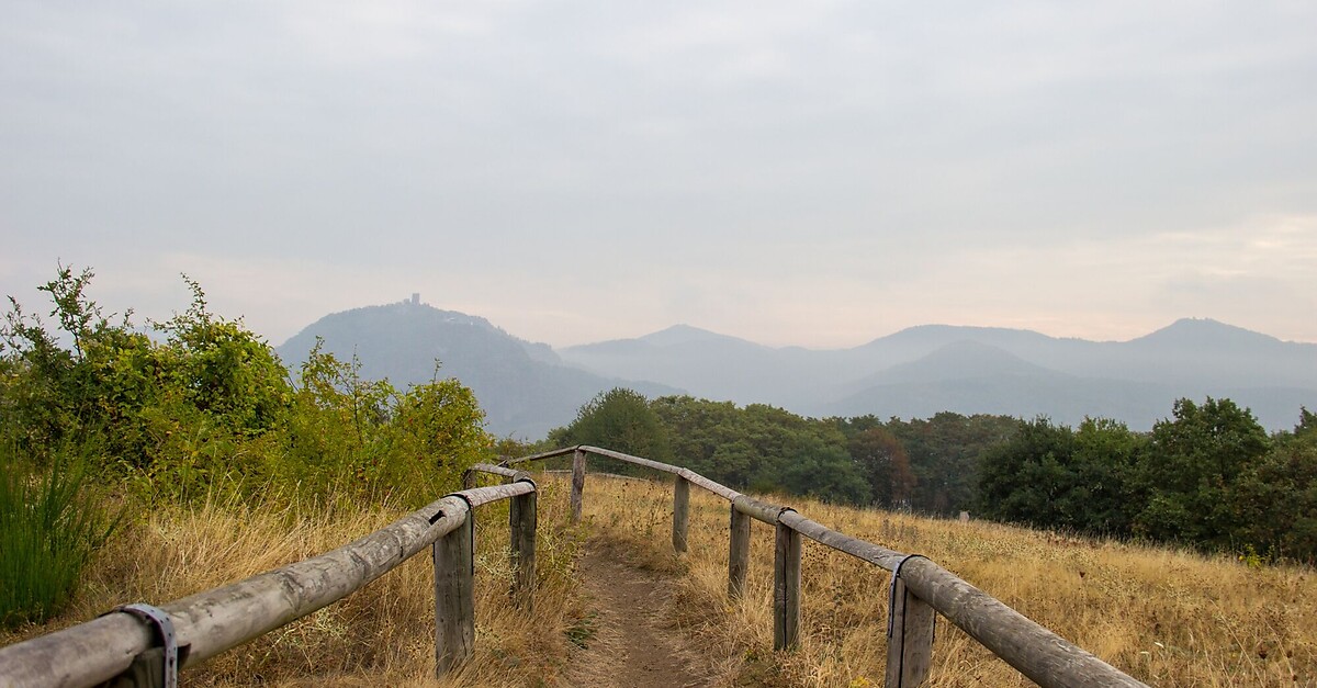 Rund um den Rodderberg - BERGFEX - Wanderung - Tour Nordrhein-Westfalen