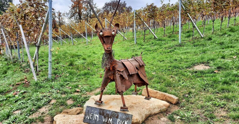 Weinweg der Sinne in St. Anna am Aigen - BERGFEX - Themenweg - Tour Steiermark