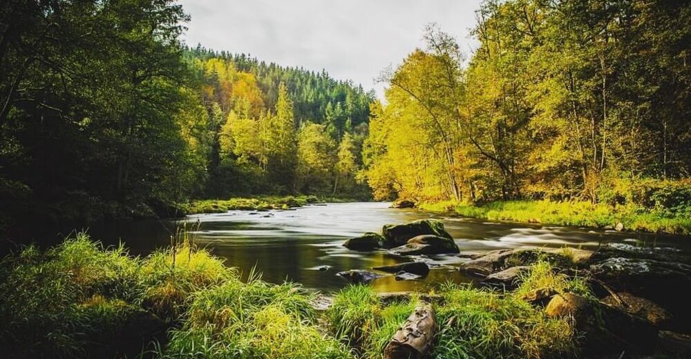 Bayerisch Kanada - BERGFEX - Wanderung - Tour Bayern
