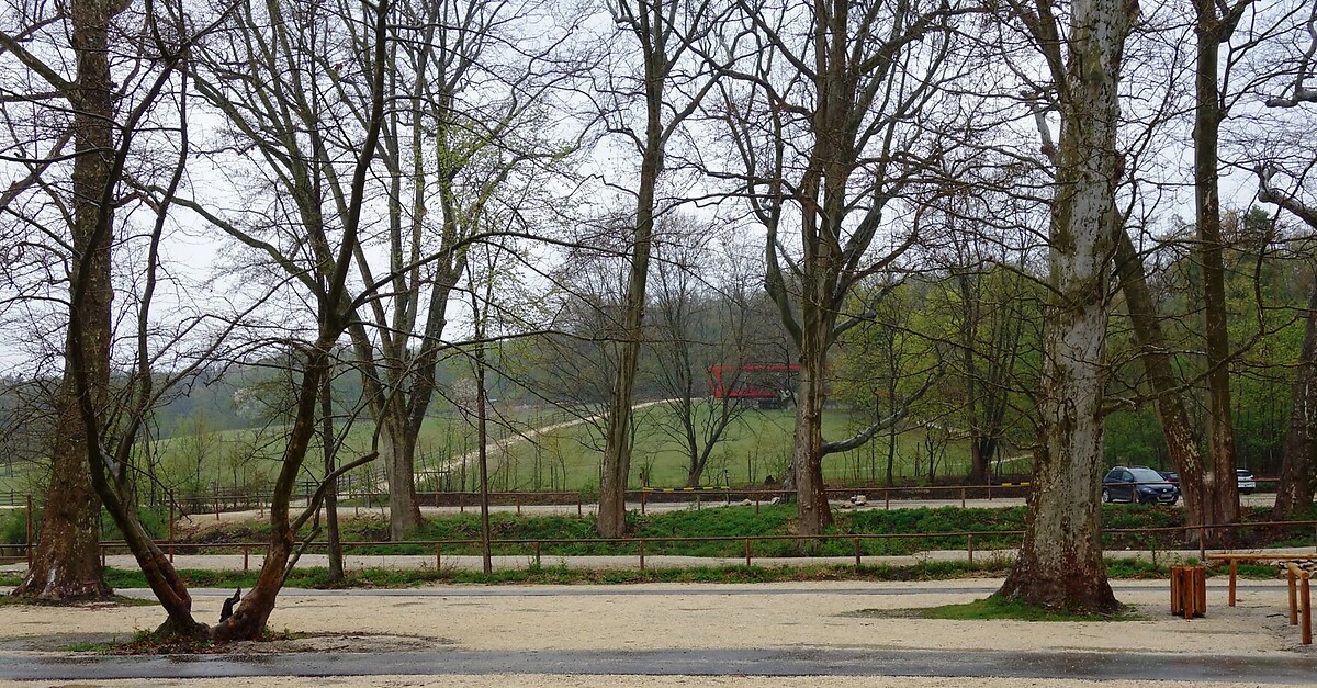 ERNSTBRUNN Dörfles, Wildtierpark, Schloss Ernstbrunn 20220422 - BERGFEX ...