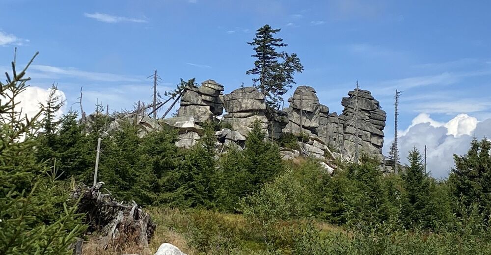 Plöckenstein - BERGFEX - Wanderung - Tour Oberösterreich
