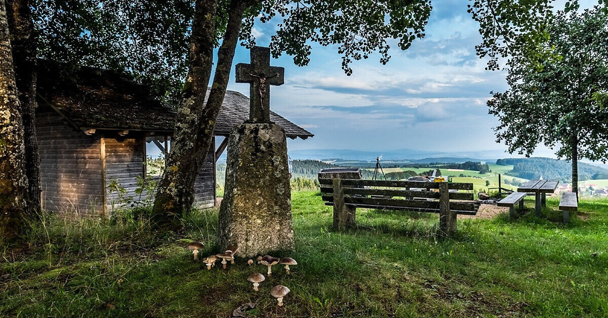 Dachsberg 10: Dachsberg-Highlights ab Hierbach - BERGFEX - Wanderung ...