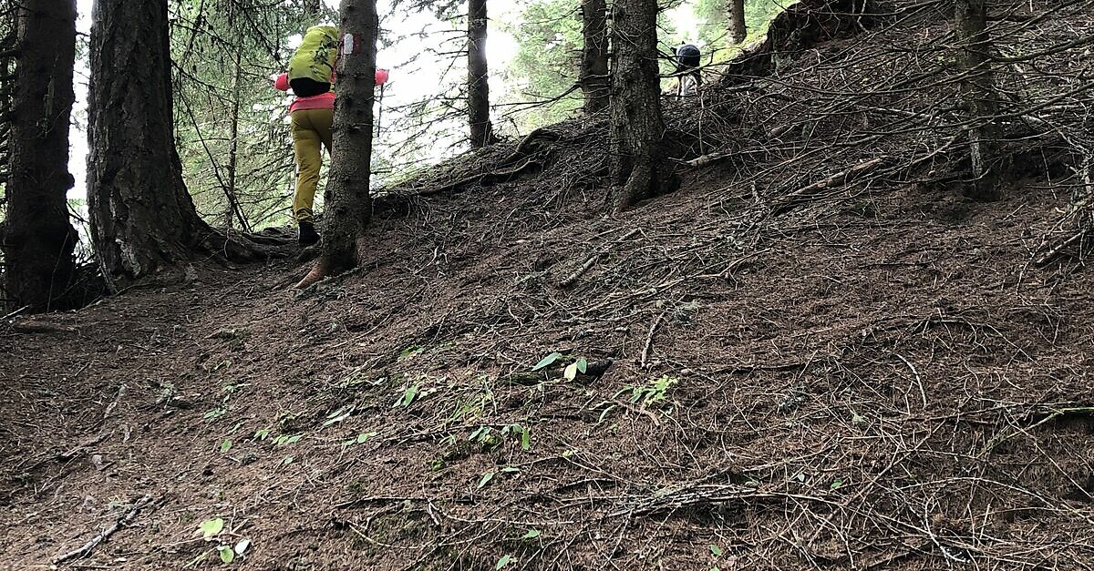 La Val Uita de Rit,Italien - BERGFEX - Wanderung - Tour Südtirol