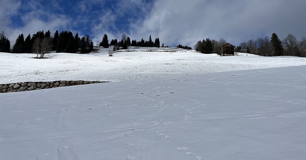 Großer Asitz von Vorderglemm - BERGFEX - Skitour - Tour Salzburger Land