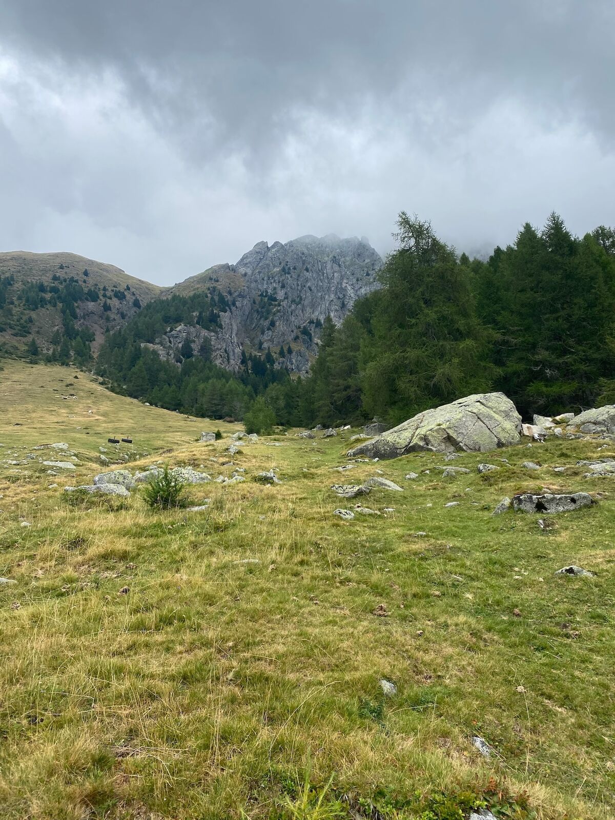 Schenna Taser Alm- Ifinger Hütte - BERGFEX - Wandelen - Tocht Zuid-Tirol