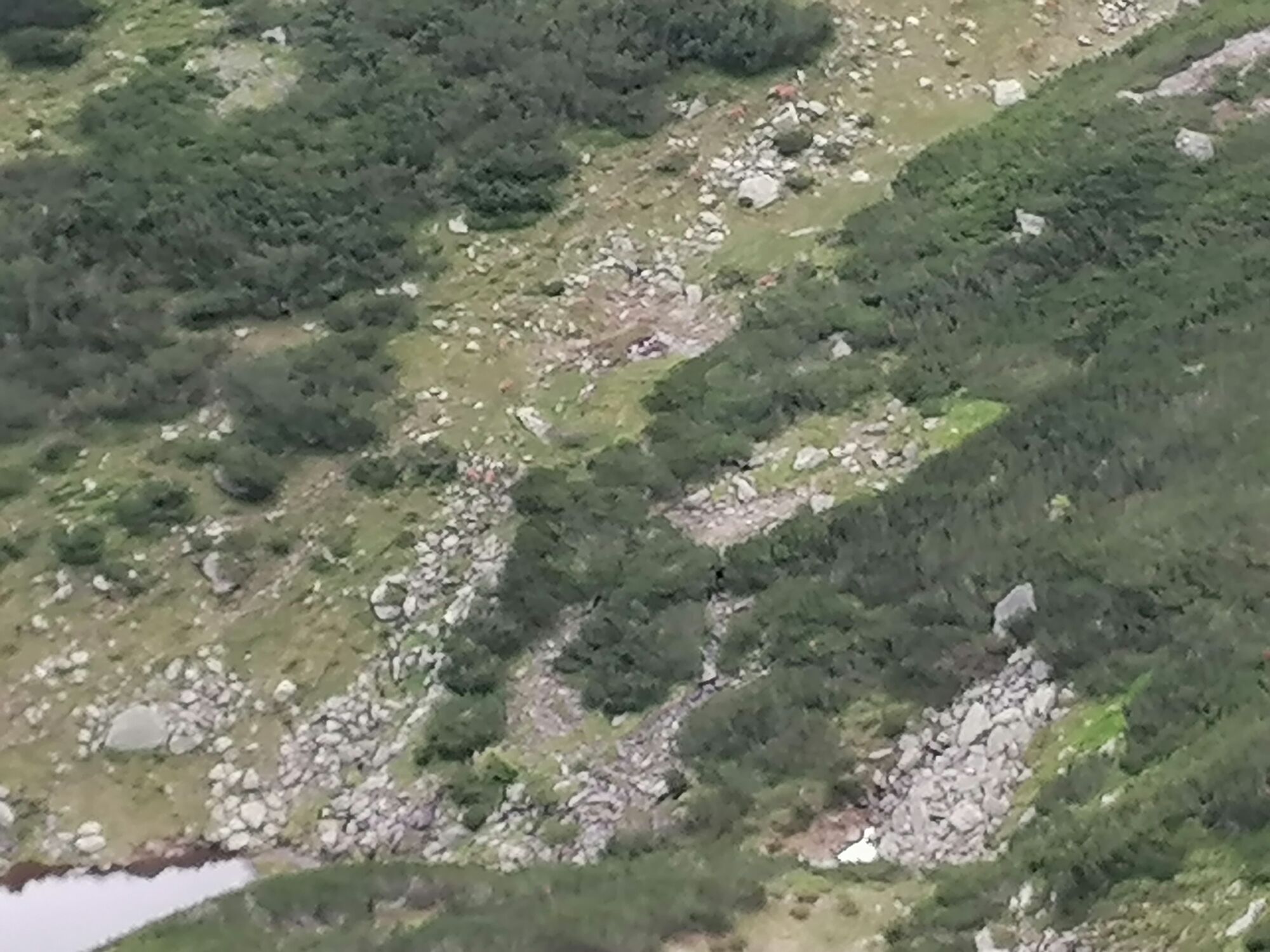 Zinkenkogel-Bruderkogel Hohentauern, Steiermark - BERGFEX - Wanderung - Tour Steiermark