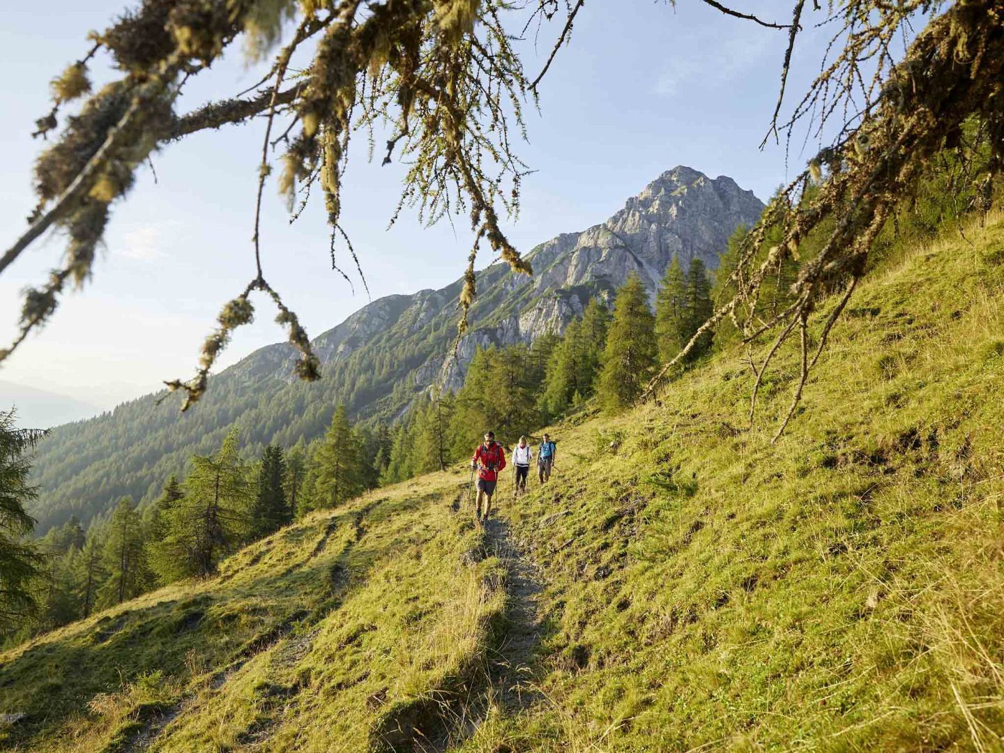 Muttereralm - Saile (Nockspitze) - Wanderung Tirol - bergfex