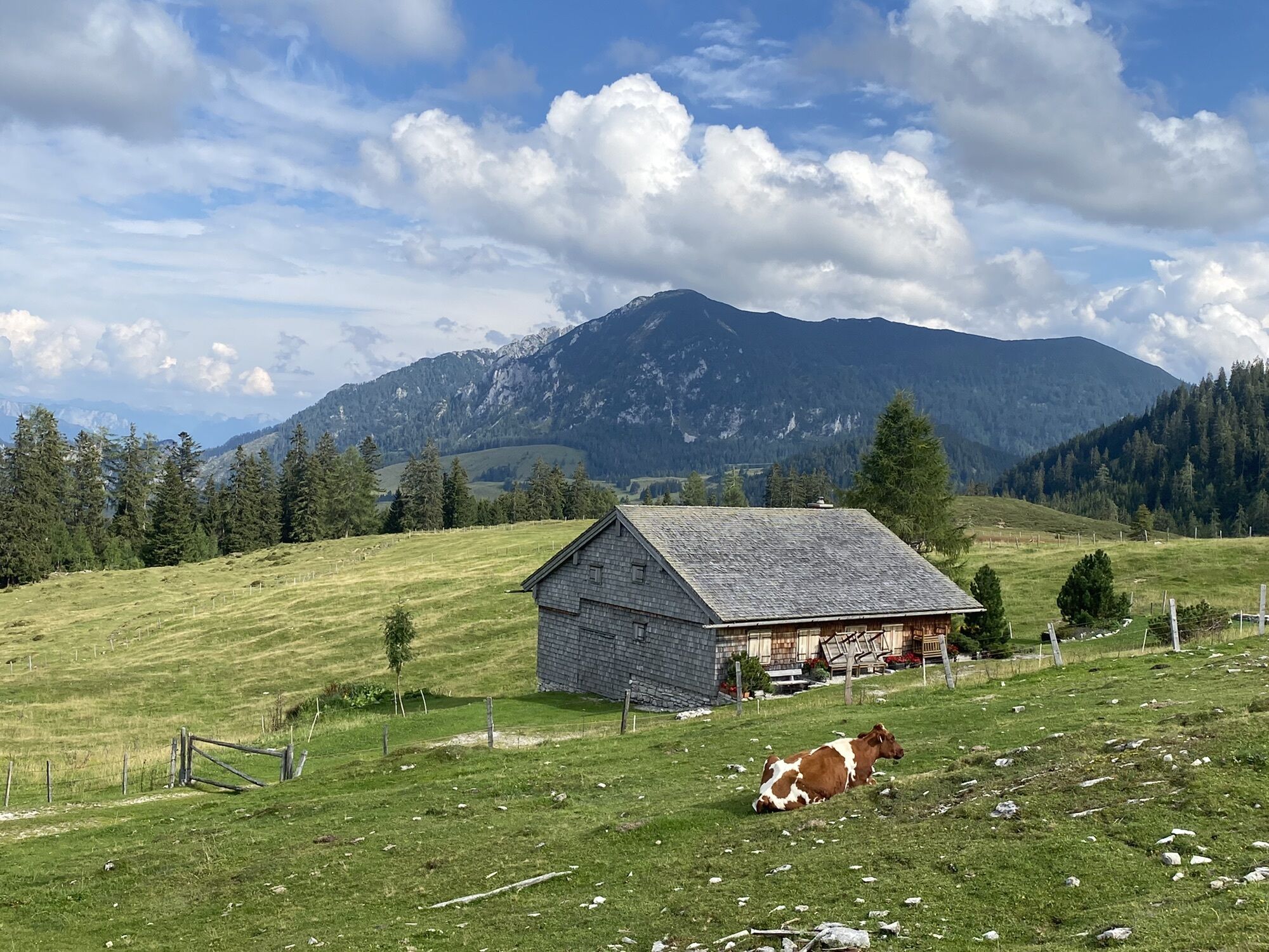 Postalm - BERGFEX - Wanderung - Tour Salzburger Land