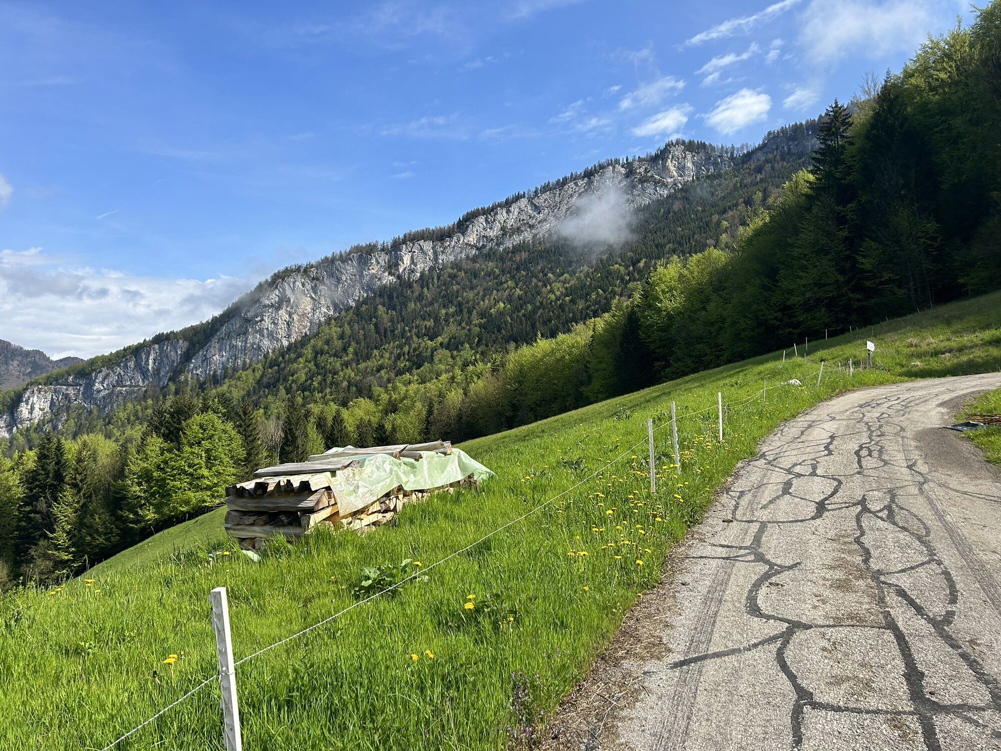 Bad Goisern über Ewige Wand auf Predigstuhl RDW - BERGFEX - Wanderung ...