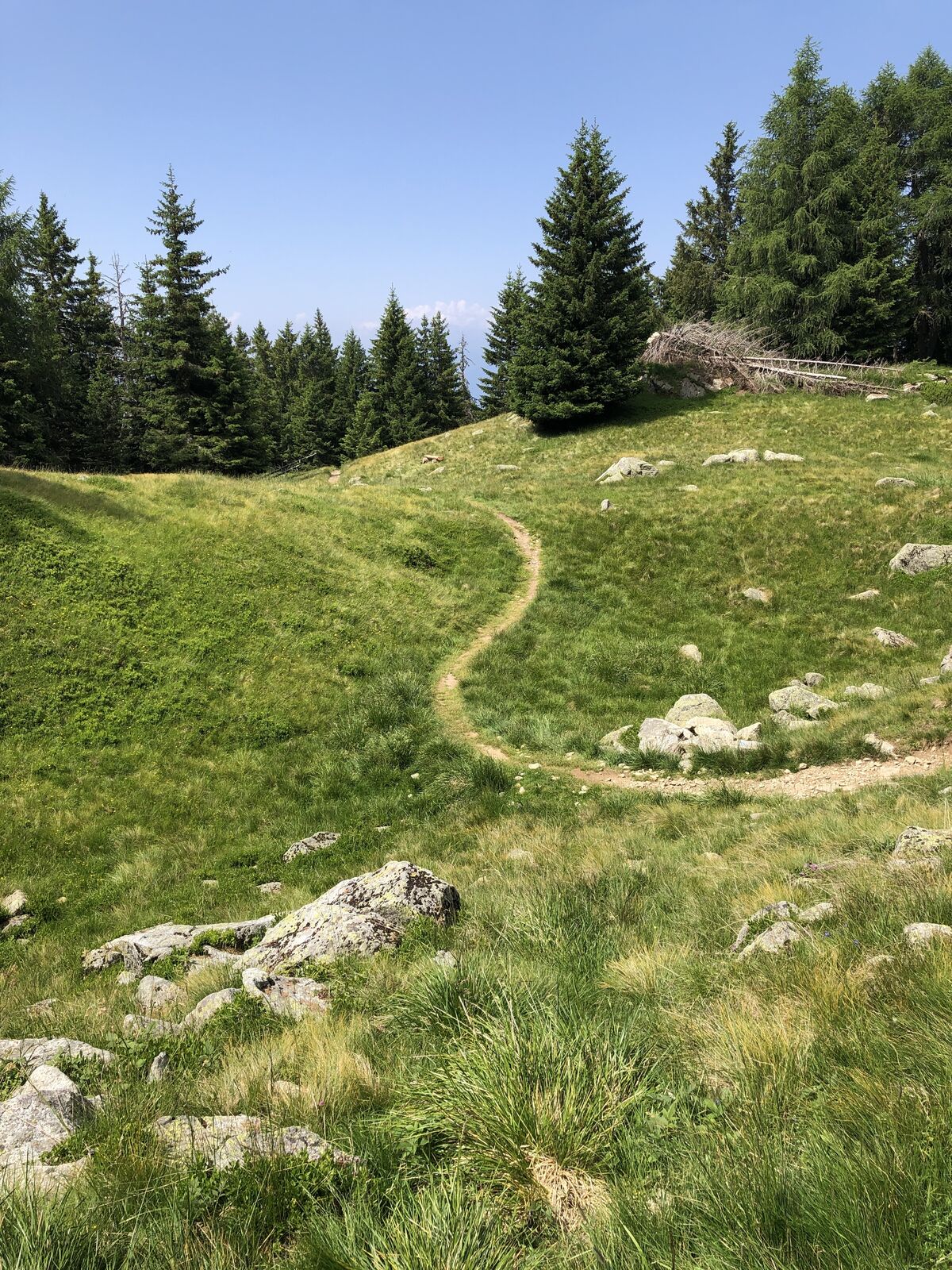 Schenna - Scenna Taser Ifingerhütte Alto Adige/Südtirol/Italia ...