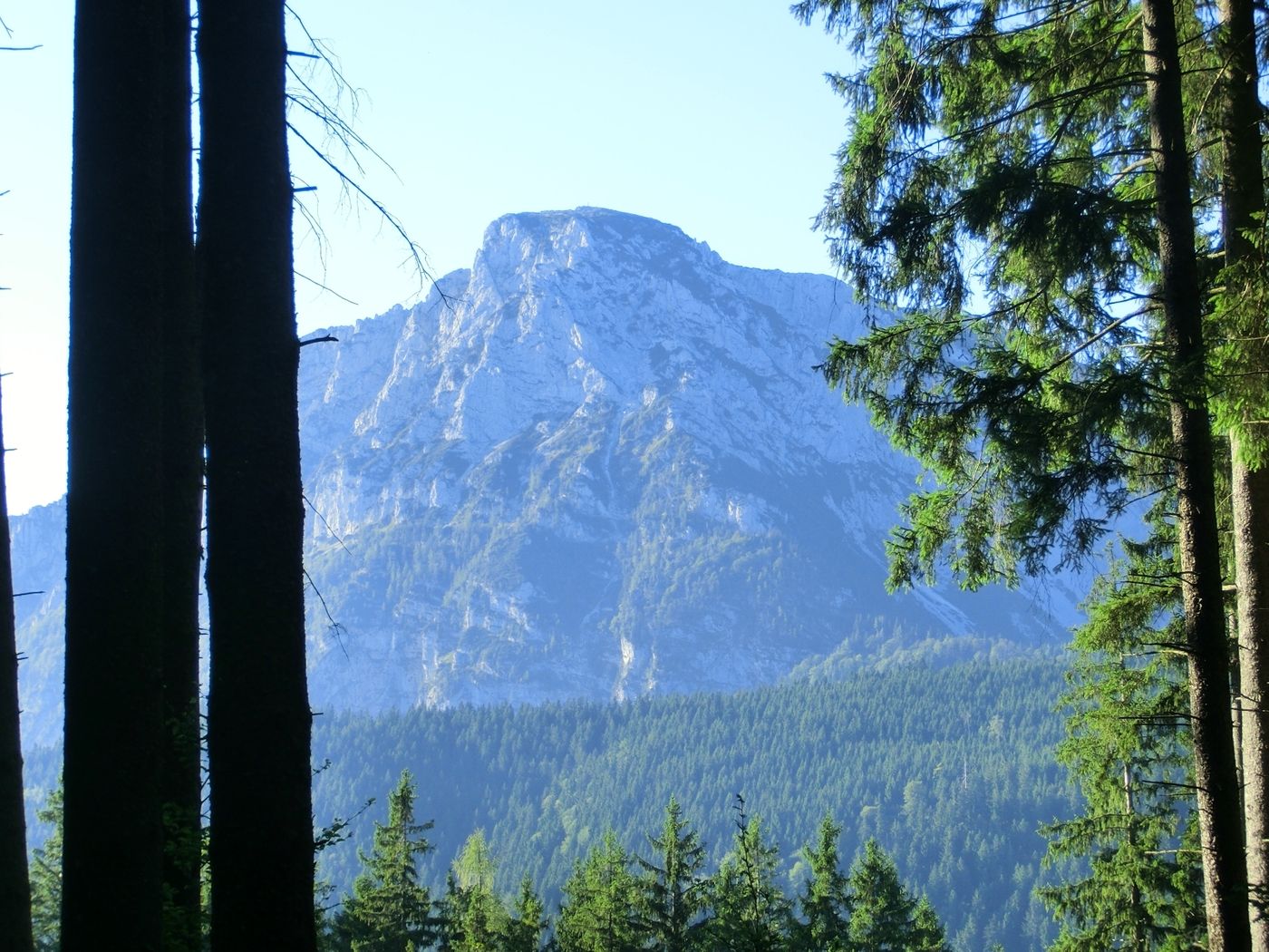 FürmannAlm-Hochstaufen - BERGFEX - Hochtour - Tour Bayern