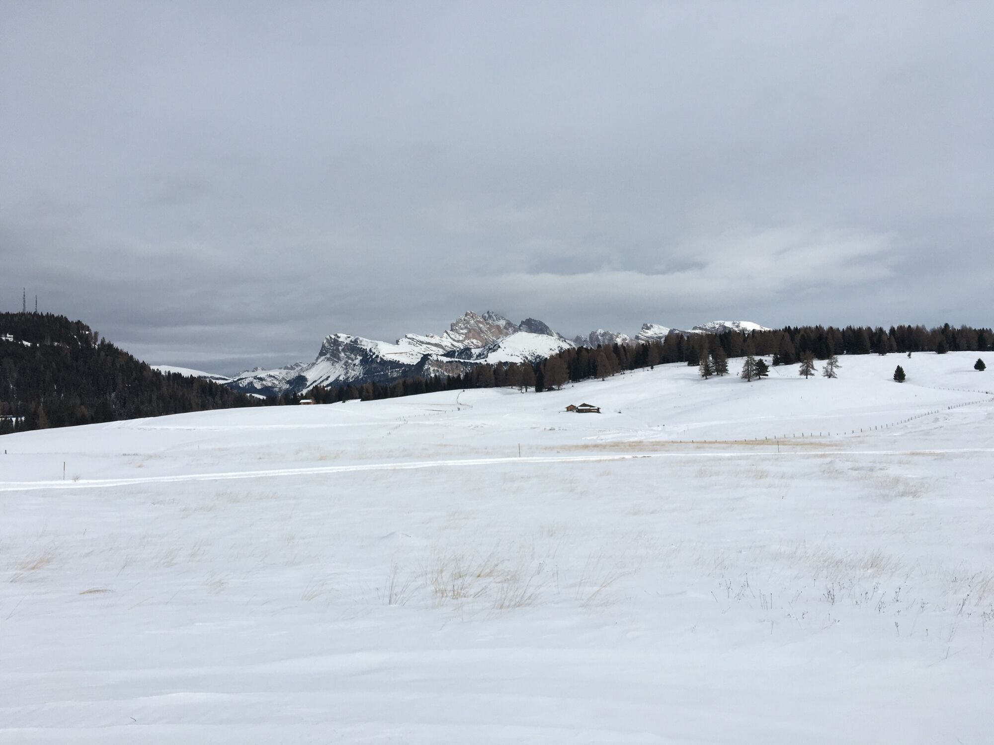 Compatsch - Contrinschwaige - Piz Ridl - Schguaguler Schweige - BERGFEX ...