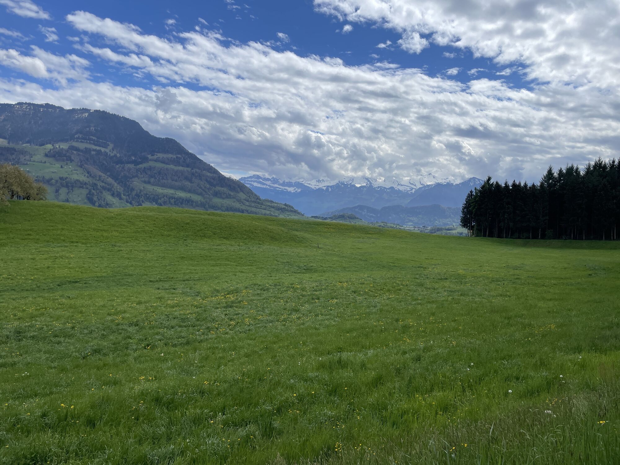 Merlischachen - Wanderung Luzern - Vierwaldstättersee - bergfex
