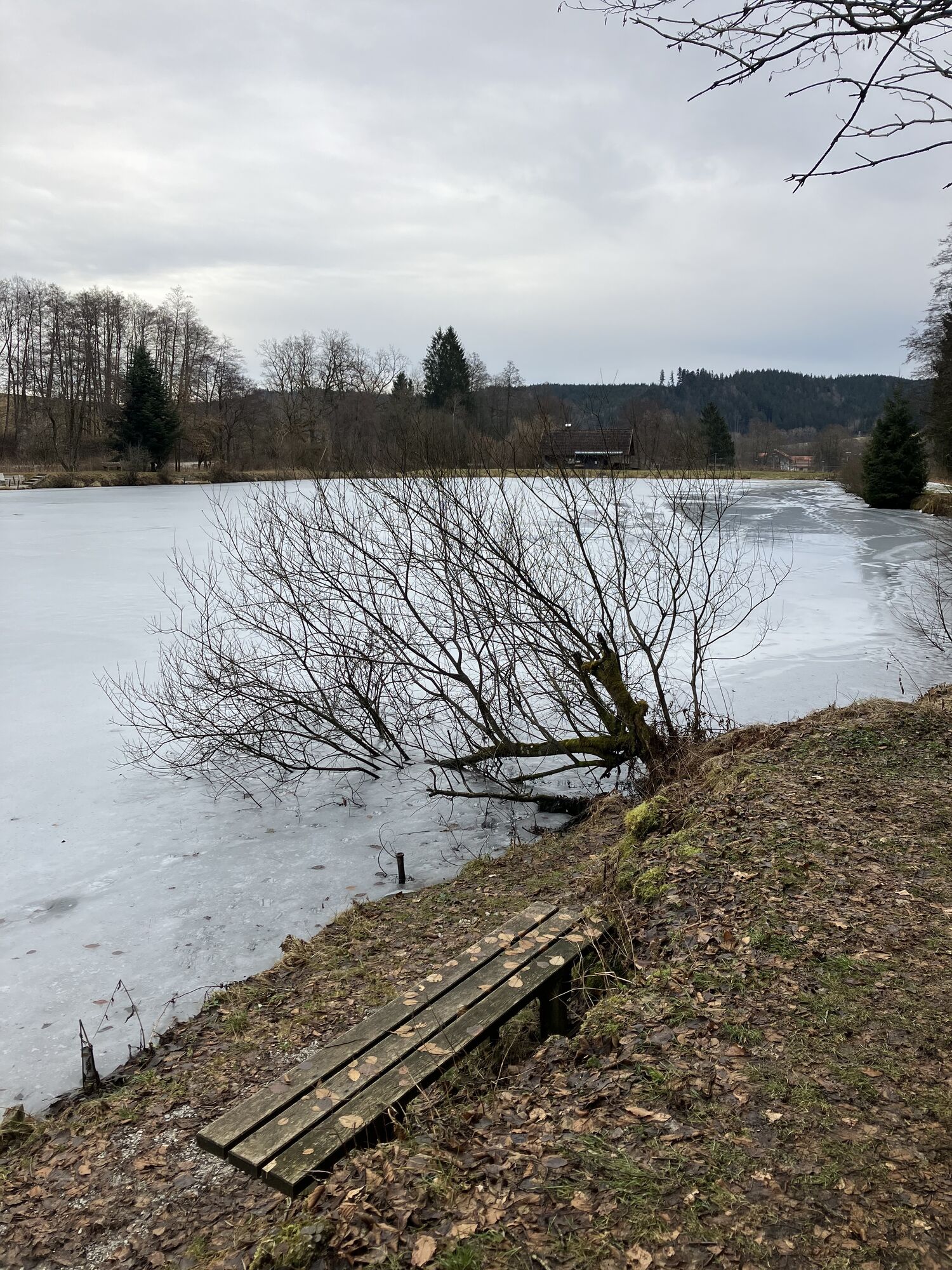 Waldsee-Kreuzkapelle-Weissenstein Runde - Wanderung Oberösterreich ...