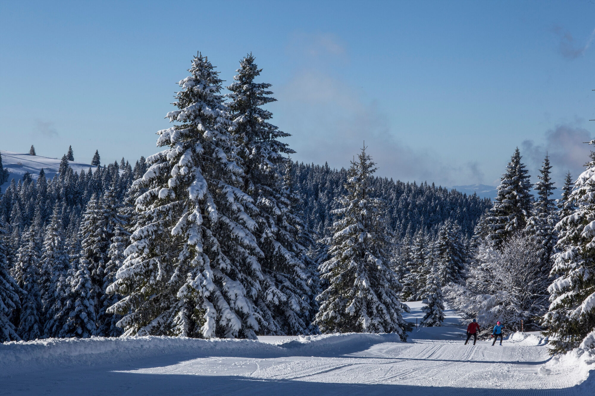 Nachtloipe Skisprungstadion - Kirche St. Martin - Ski de fond Bade ...
