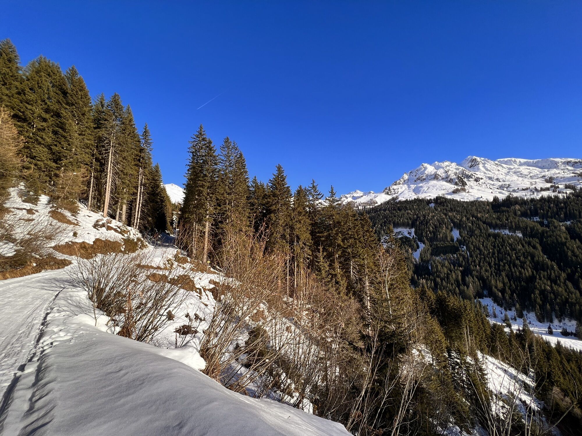 Navis Peer Alm - BERGFEX - Wanderung - Tour Tirol