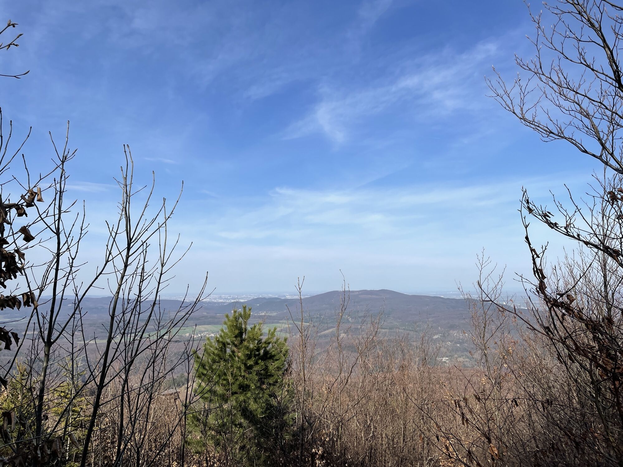 Alland, Austria - BERGFEX - Wanderung - Tour Niederösterreich