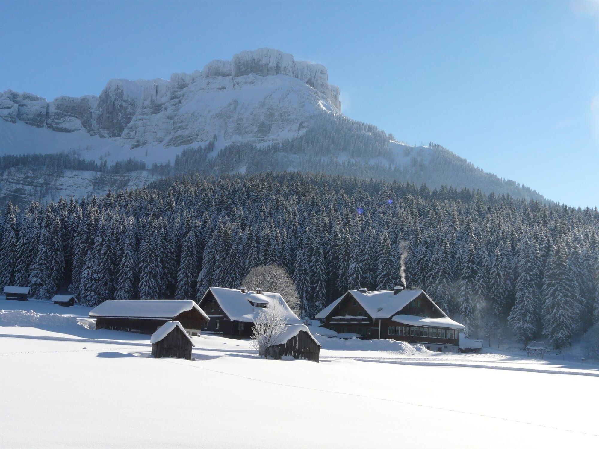 Schneeschuhwanderung in der Blaa Alm - Schneeschuh Steiermark - bergfex