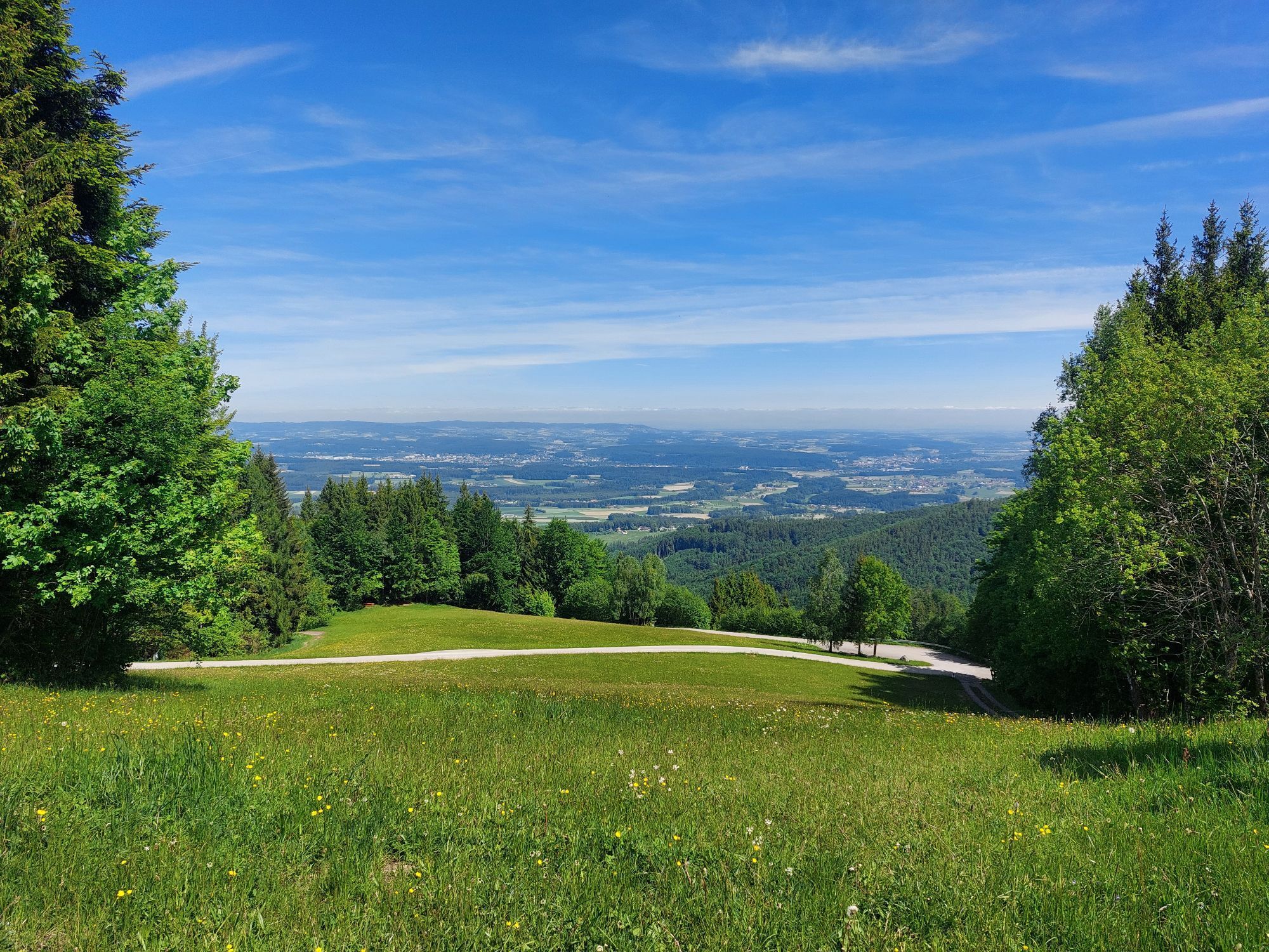 Hongar, Aurach am Hongar, Österreich - BERGFEX - Wanderung - Tour ...