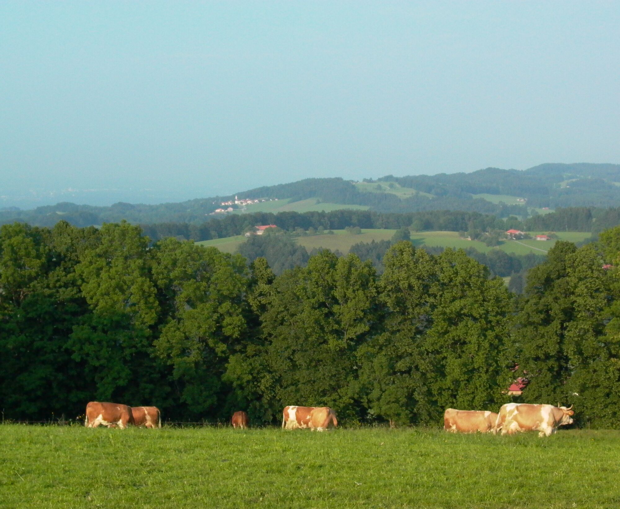 Miesbacher Stadlbergrunde - Wanderung Bayern - bergfex