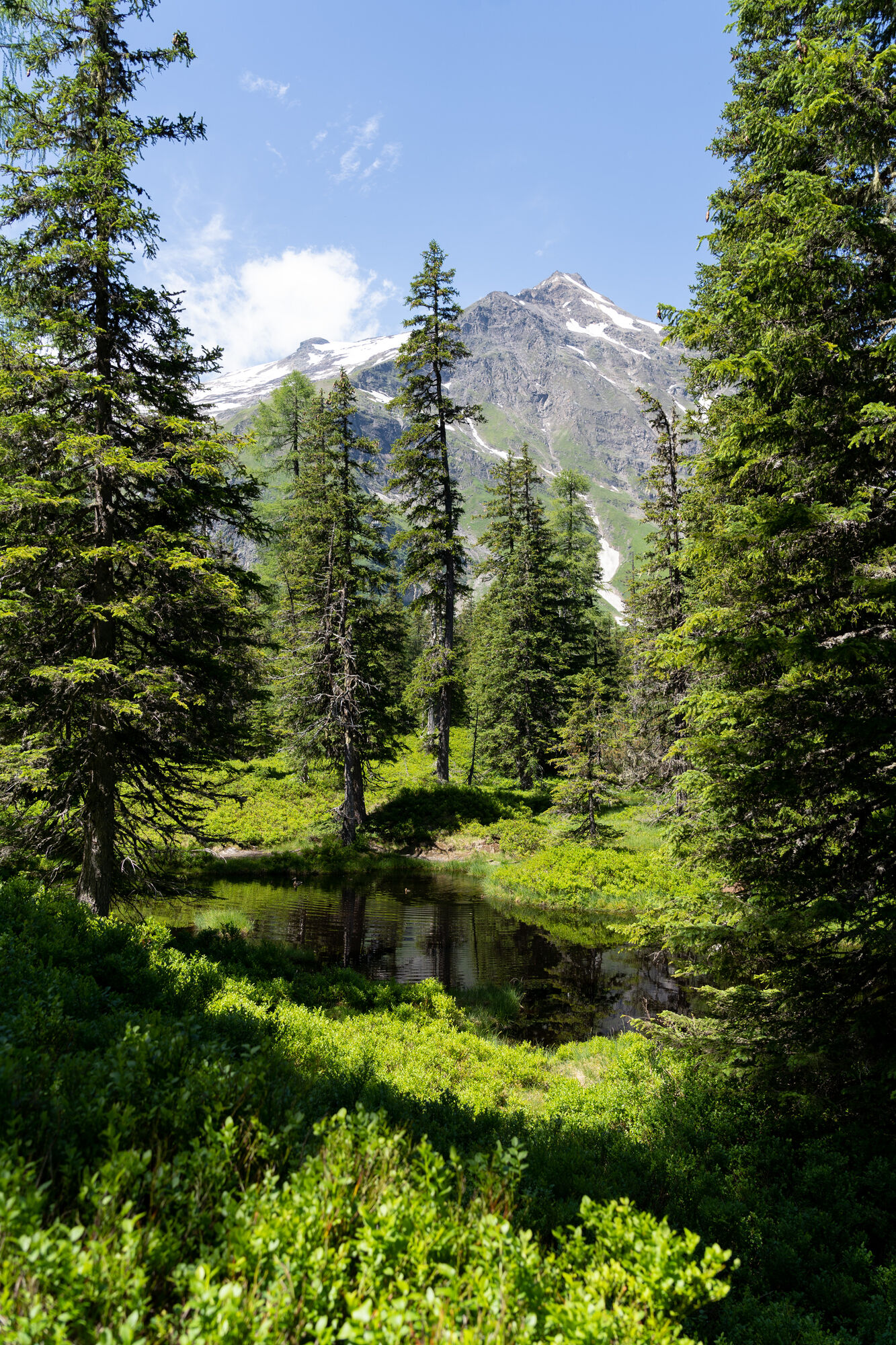 BERGFEX-Sehenswürdigkeiten - Mautstraße Kolm Saigurn - Rauris ...